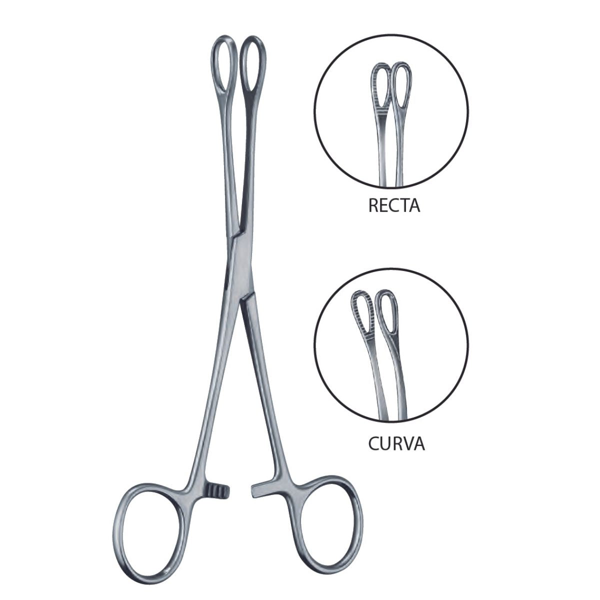 Pinza Forester porta esponjas - Marca Hergom – HERGOM MEDICAL